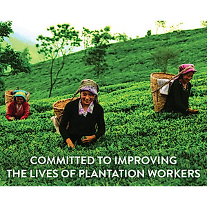 Teamonk Hozo High Mountain Orange Pekoe Black Tea Loose Leaf (75 Cups) - 5.3 oz Bag | Boosts Energy | Antioxidant Properties | Boosts Heart Health and Helps reduce Blood pressure