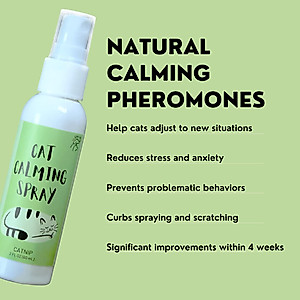 Clean Pet Cat Relaxant Pheromone Spray - for Cats & Kitties - Reduces Stress and Anxiety - Stops Spraying Scratching & Other Problematic Behaviors - Scented & Unscented (Catnip)