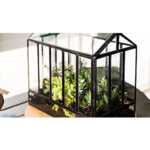 Urban Born Large Indoor Greenhouse Shape Terrarium — 10" x 6" x 10" (Black)