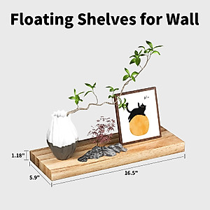 16.5in Floating Shelves, Natural Solid Wood Shelf Set of 2, Wall Shelves with Invisible Brackets, Rustic Wooden Wall Mounted Shelves for Bedroom/Living Room, Hold Up to 25lbs, Renter Friendly