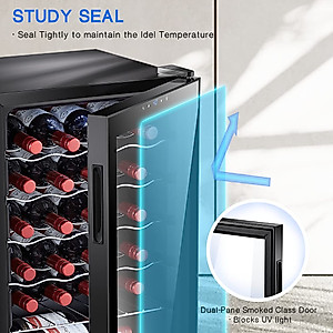 STAIGIS 24 Bottle Compressor Wine Cooler Refrigerator, Small Freestanding Wine Fridge for Red, White and Champagne, Mini Fridge with 40-66F Digital Temperature Control Glass Door