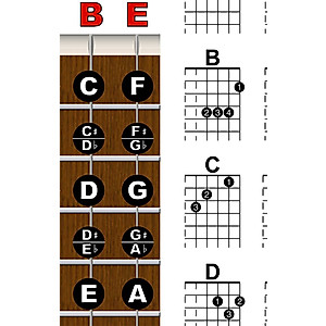 A New Song Music Laminated Guitar Chord & Fretboard Note Chart Instructional Easy Poster for Beginners Chords & Notes 11"x17"