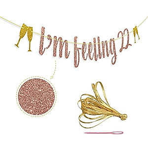 Rose Gold Glitter I'm Feeling 22 Banner, Happy 22nd Birthday Banner, 22nd Birthday Decorations, 22nd Birthday Party Supplies