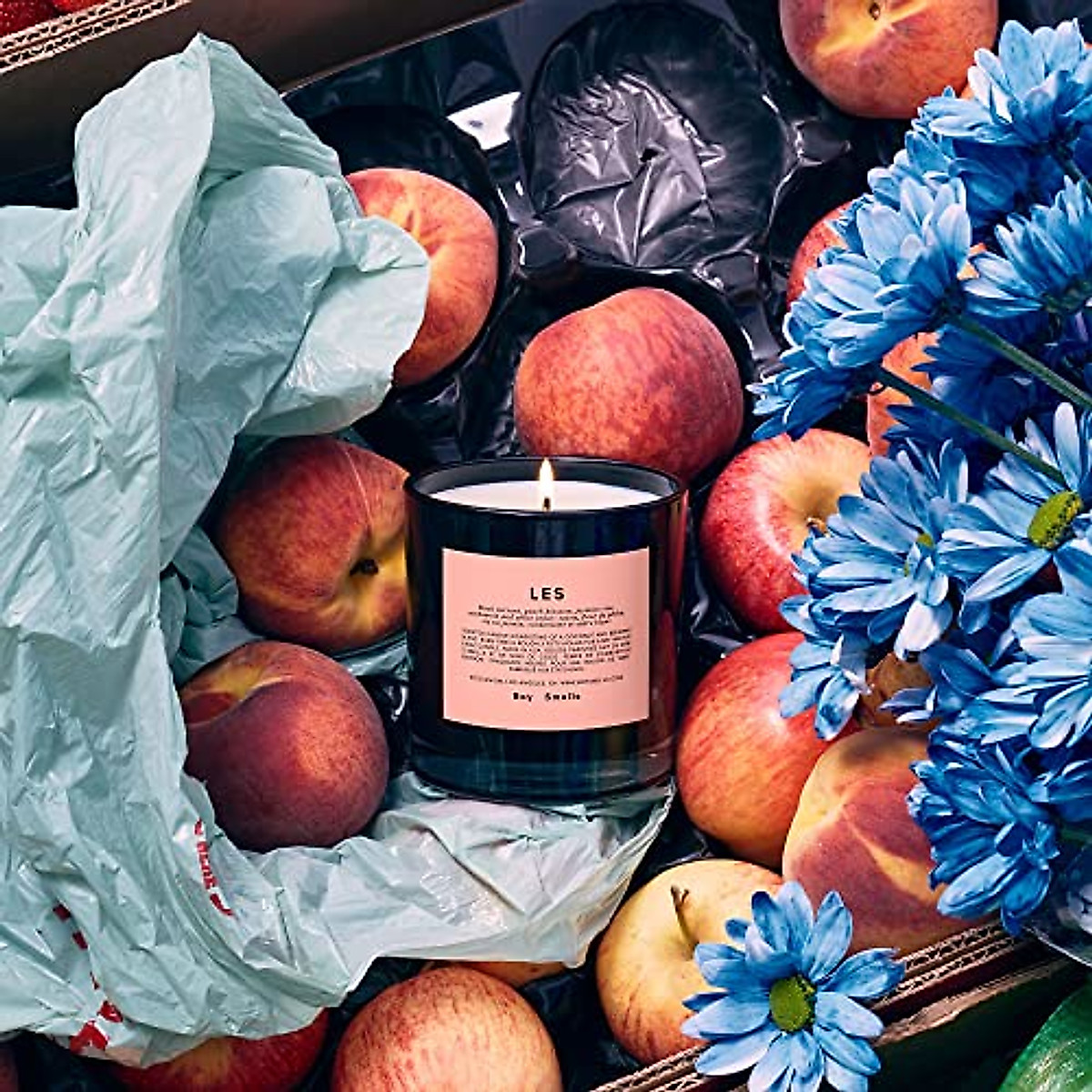 Les Boy Smells Candle | 50 Hour Long Burn | Coconut & Beeswax Blend | Luxury Scented Candles for Home (8.5 oz)