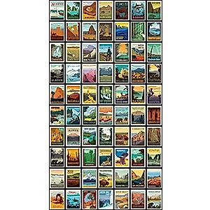 Riley Blake National Parks Posters 23”x43” Panel with Black Borders, Quilting, Apparel and Home Decor Fabric