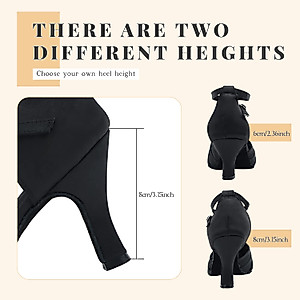 FUKZTE Womens Latin Dance Shoes Heeled Ballroom Salsa Tango Party Dance Shoes Practice Performance Dancing Shoes,Black 3.15 inch Heel,8 US