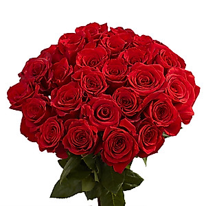 50 Red Roses- Fresh Cut Flowers- Natural Bright Blooms