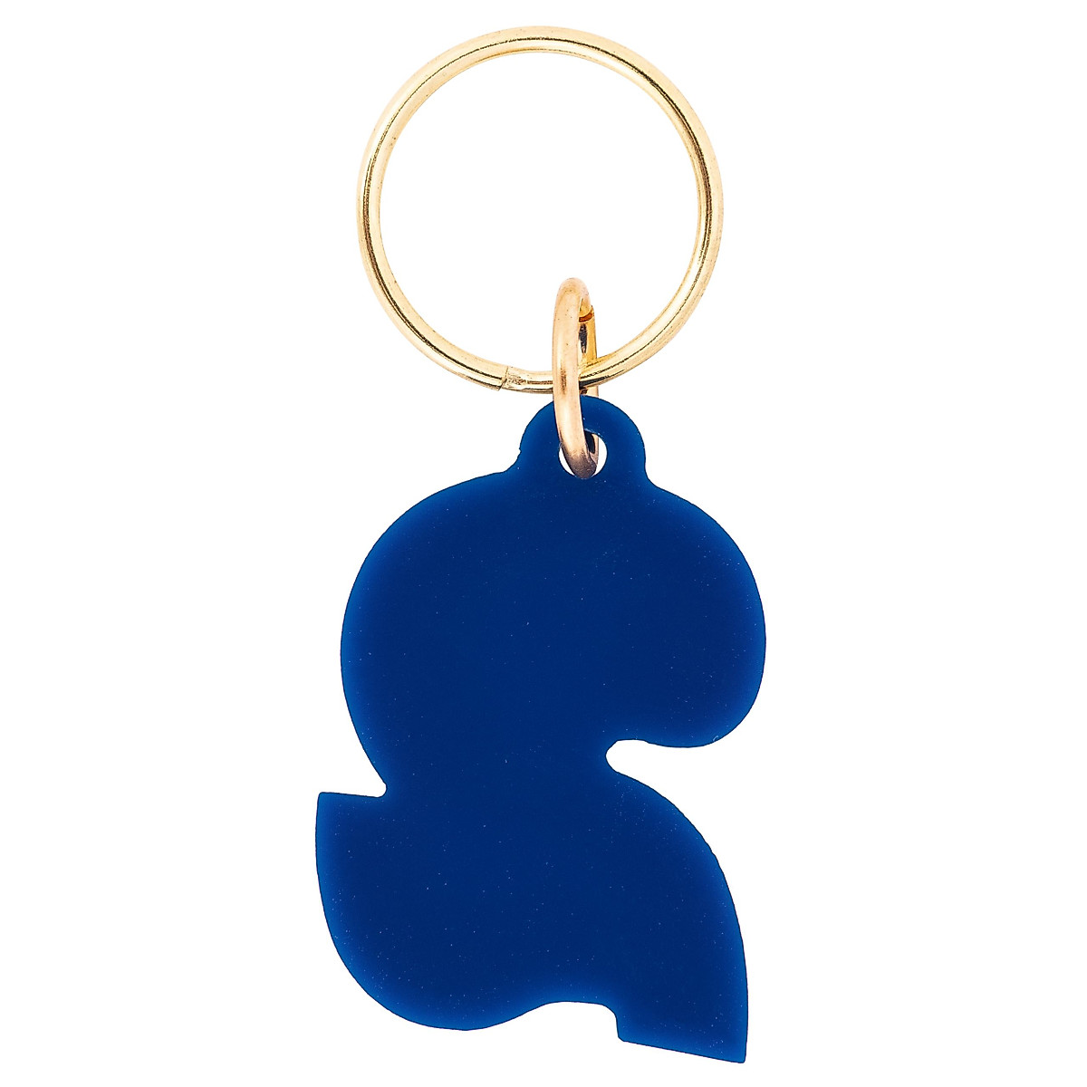 Desert Cactus Sigma Gamma Rho Keychain Line Number # Cross Over Initiation Acrylic Mirrored Decorative SGR Divine 9 (#2 Line Number Keychain)