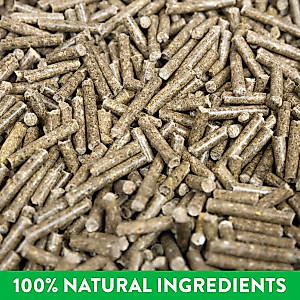 MagnaGard Pellet, Gastric Support Supplement for Horses | Palatable Alfalfa Pellet with Calcium, Magnesium, and 50+ Trace Minerals | 30 Day Supply