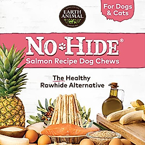 EARTH ANIMAL No Hide Stix Salmon Flavored Natural Rawhide Free Dog Chews Long Lasting Dog Chew Sticks | Dog Treats for Small Dogs and Cats | Great Dog Chews for Aggressive Chewers (3 Pack)