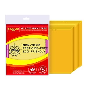 Faicuk Yellow Dual-Sided Sticky Fly Traps for Plant Insect Like Aphids, Fungus Gnats, Leaf Miners and White Flies (10 Pack)