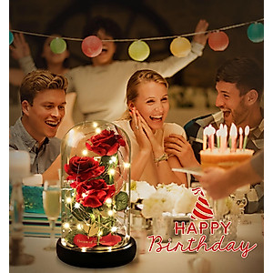 Women Gifts Idea Birthday, Unique Gifts for Mom, Birthday Gifts for Women Anniversary Rose Gift Decorations Beauty and The Beast Rose Flowers Romantic Red Silk Rose Flower in Glass Dome