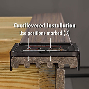 Collated Cortex - 100 LFT for Trex Enhance Rocky Harbor, Rocky Harbor