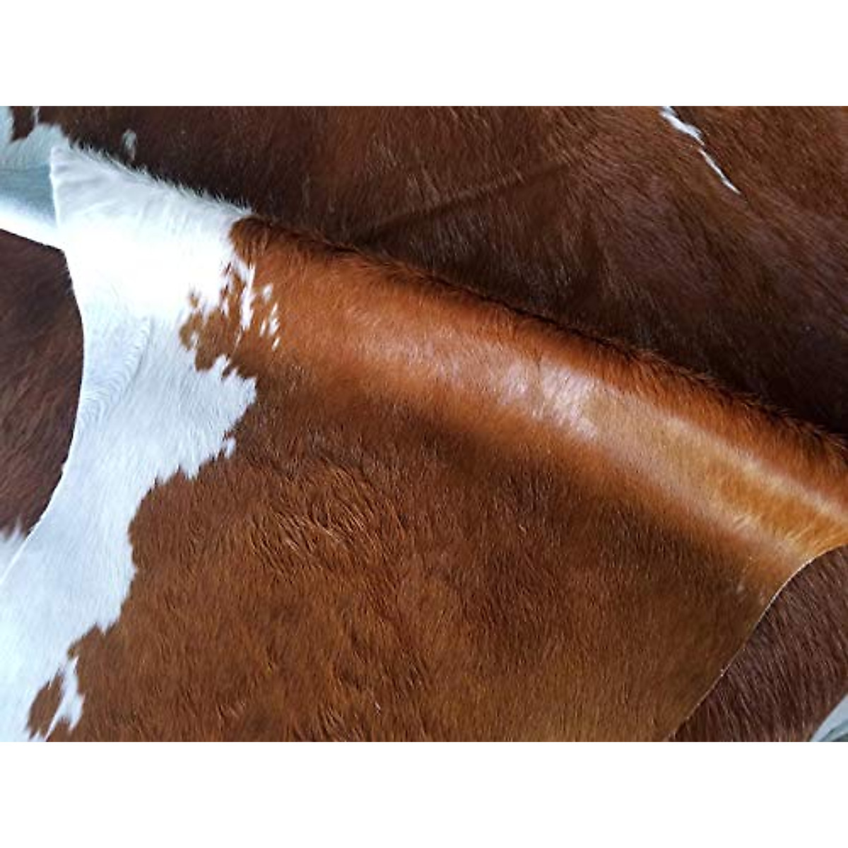 eCowhides Hereford Brazilian Cowhide Area Rug, Cowskin Leather Hide for Home Living Room (Large) 6 x 6 ft