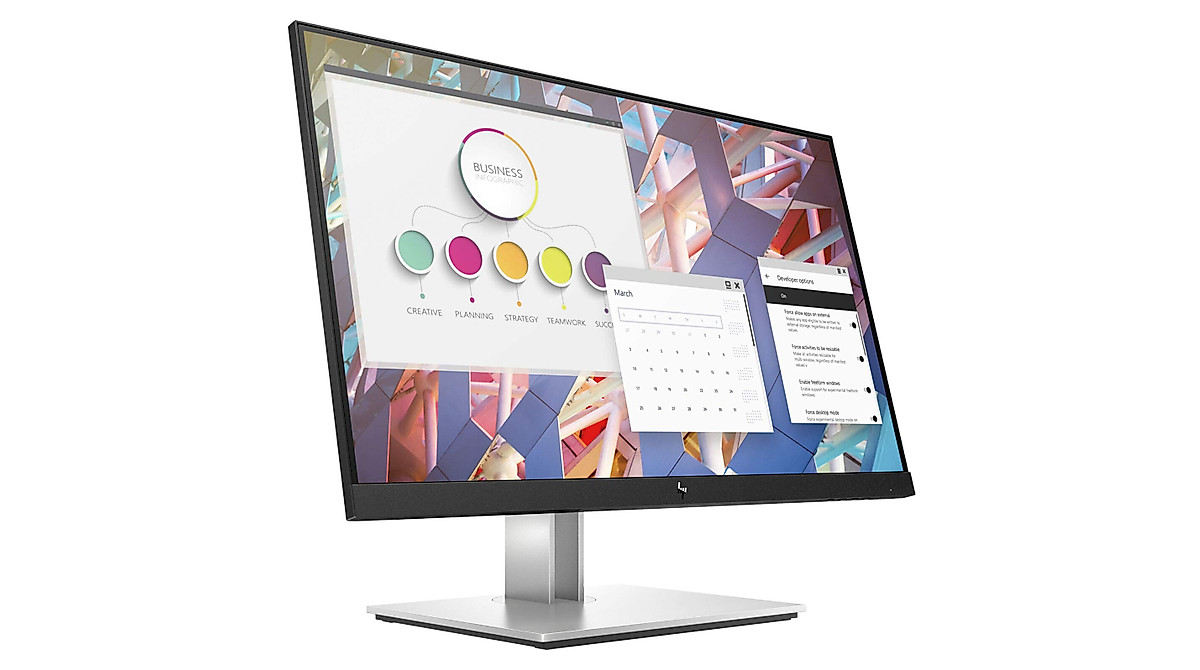 HP EliteDisplay E24 G4 - 24" FHD Monitor with Filter