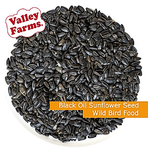 Valley Farms Black Oil Sunflower Seed Wild Bird Food for Outside Feeders, Wild Bird Seed for Outside Feeders, Birdseed (3 LBS)