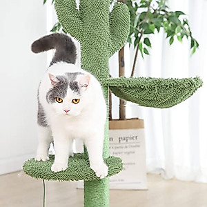 BOLUO Cat Scratching Post with Hammock for Indoor Cats Scratcher Posts Tall Cute Catcus Cat Tree Toy Kitten Sisal Rope Scratch Dangling Ball 31 Inch