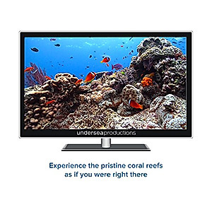 Reefscapes: Nature's Aquarium DVD, nature video of tropical fish and coral reefs filmed in the ocean, for relaxation and ambience