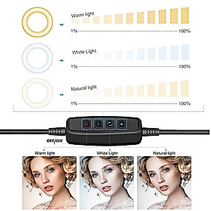 Ring Light OEBLD Dimmable with 3 Light Modes & 10 Brightness Level LED Ring Fill Lights for Phone Live Stream Makeup YouTube Shooting(B(only 10'' Ring Light))