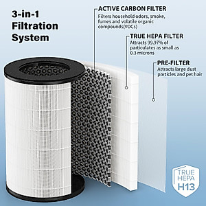 CFKREYA AP-T40 Replacement Filter Compatible with 1461901 Homedics 5-in-1 Air Puri-Fier AP-T40, AP-T40WT, AP-T40BK, AP-T45, AP-T45WT, AP-T45BK, AP-T40WTAR, AP-T40FL