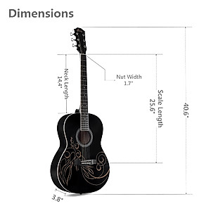 WINZZ AF227A 39 Inches Concert Acoustic Acustica Guitar with Full Kit, Delicate Vine