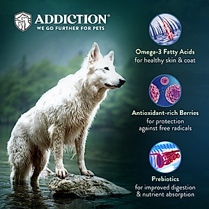 Addiction Herbed Lamb & Potatoes Raw Alternative Dog Food - Gently Air-Dried Complete Meal or Dog Food Topper for Digestive and Skin and Coat Health, 2 lb