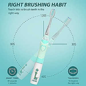 Kids Electric Toothbrushes,Sonic Battery Powered Tooth Brush with Smart Timer,Waterproof Deep Clean for Children and Toddlers Age 3+,Travel with 3 Soft Brush Heads,Cute Colorful LED Light (Green)