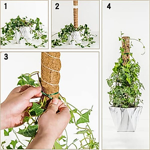 Moss Pole for Plants Monstera, 69 Inch Plant Support Stakes for Indoor Plants, 6 Pcs 15.7Inch Plant Moss Poles for Indoor Potted Climbing Plants Creepers, Plant Sticks Coco Coir Pole