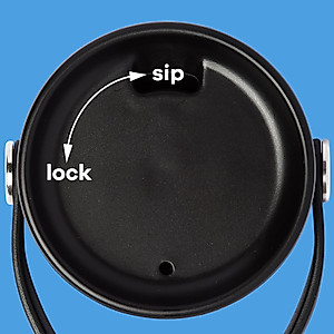 Hydro Flask 20 oz Wide Mouth Bottle with Flex Sip Lid Alpine