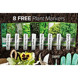 8 Leafy Garden Greens Seeds for Planting Individual Packets - Arugula, Collards, Spinach, Swiss Chard, Kale, Lettuce, Leafy and Butter Lettuce Seeds for Your Heirloom Salad Garden by Gardeners Basics