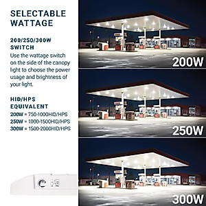 Parmida (4 Pack) LED Canopy Light, Wattage Selectable (200/250/300W), ETL, Dimmable, 100-277VAC, IP65 Waterproof, 5700K, 16.5” x 16.5”, Gas Station, Garage, Street, Outdoor Lighting, Commercial Grade