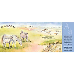 P is for Potato: An Idaho Alphabet (Discover America State by State)