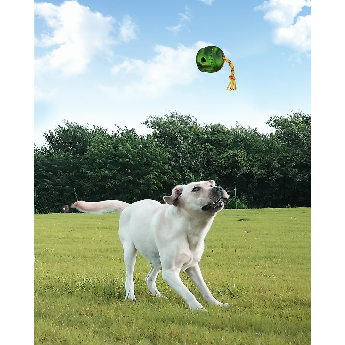 Joytale Dog Enrichment Toys, Treat Dispensing Dog Toys for Aggressive Chewers, Fillable Dog Chew Toys with Frozen Mold, Skull Design Dog Toys with Rope, Dog Toys to Keep Them Busy