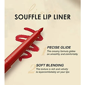 BestLand 12Pcs Matte Liquid Lipstick + Lip Liner Pens Set, One Step Lips Makeup Sets Pigment Velvety Nude Lip Stain Waterproof Long Wear Lip Gloss Make up Gift Set (Set B)