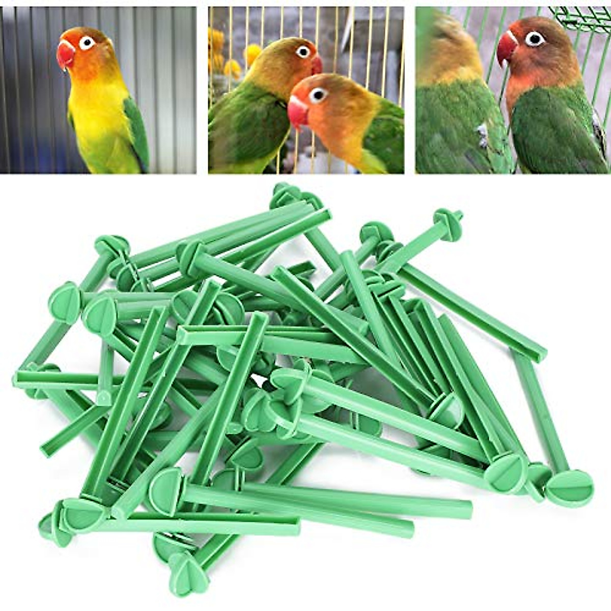 50Pcs Plastic Stand Perches Holders, 6.3in Bird Standing Stick Stand for Canary Finch Budgie Bird Cage