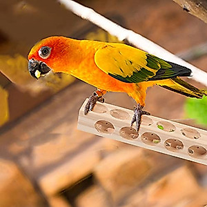 PATKAW Hamster Toys Hamster Toys Hamster Toys of 2 Parrot Hamster Stick Parrot Stick Toy Wooden Bird Perch Bird Climbing Stand Toy Parrot Cage Swing Set Accessories Hamster Accessories Wooden Toys