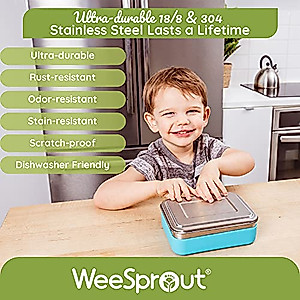 WeeSprout Small Bento Box