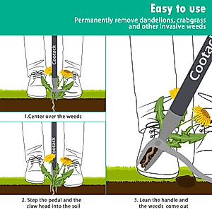 Cootack 52'' Weed Puller with Long Handle Stand-up Hand Weeder Manual Weeding Tool with Stainless Steel Claw for Garden/Yard/Lawn, Weed Remove Without Bending or Kneeling