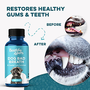 Dog Bad Breath Treatment & Dog Dental Care Solution - Natural Supplement for Canine Oral Health - Dog Tooth Pain Relief, Plaque Control, Gum Disease, Gingivitis - 400 Odorless, Tasteless Pills