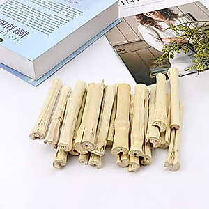 XLpeixin 300g Snacks Sweet Bamboo Chew Toy for Rabbits Chew Sticks for Hamster Chinchilla Guinea Pig,Molar Treats Snack for Small Animals…