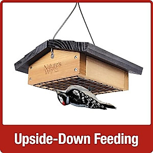 Nature's Way Bird Products CWF2 Cedar wood Suet Upside-Down Bird Feeder, 8.5"L x 8.5"W x 4.13"H, Black