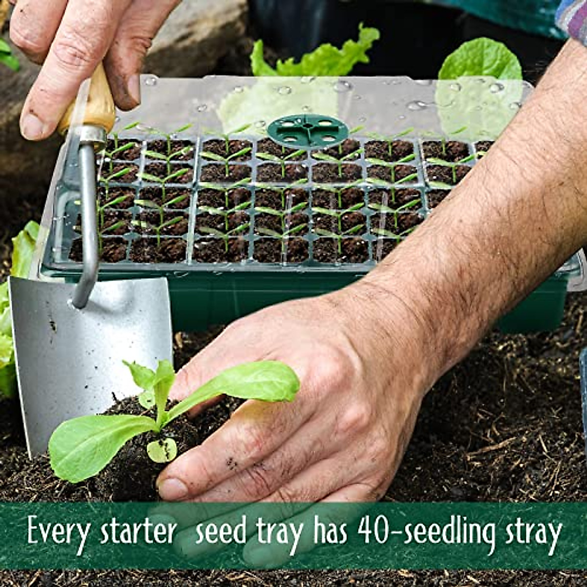10 Pcs Seed Starter Tray 40 Cells Seed Starter Kit with Humidity Dome and Base Propagation Tray Plant Germination Greenhouse Mini Propagator Station for Seeds Growing, Total 400 Cells(Green,10 Pcs)