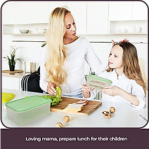 THE ROH Food Storage Containers with Lids Airtight for Kitchen Organization and Storage (34Pcs) Freezer & Microwave Safe, BPA Free Leak-proof for Lunch Box Containers-Snacks, Sandwich & Bento box