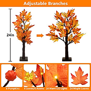 2 Pack Fall Decor 24 Inch Prelit Fall Maple Tree with 48 LEDs Timer Battery Operated, Fall Decoration Tabletop Acorn Pumpkin Maple Leaves Artificial Tree for Thanksgiving Harvest Indoor Decoration