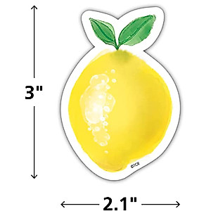 Teacher Created Resources Lemon Zest Mini Accents (TCR8481)