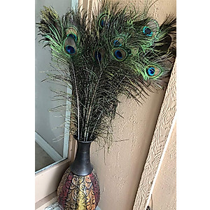 Lamplight Feather Peacock Feathers, Natural, 35-40 inch Long per 25