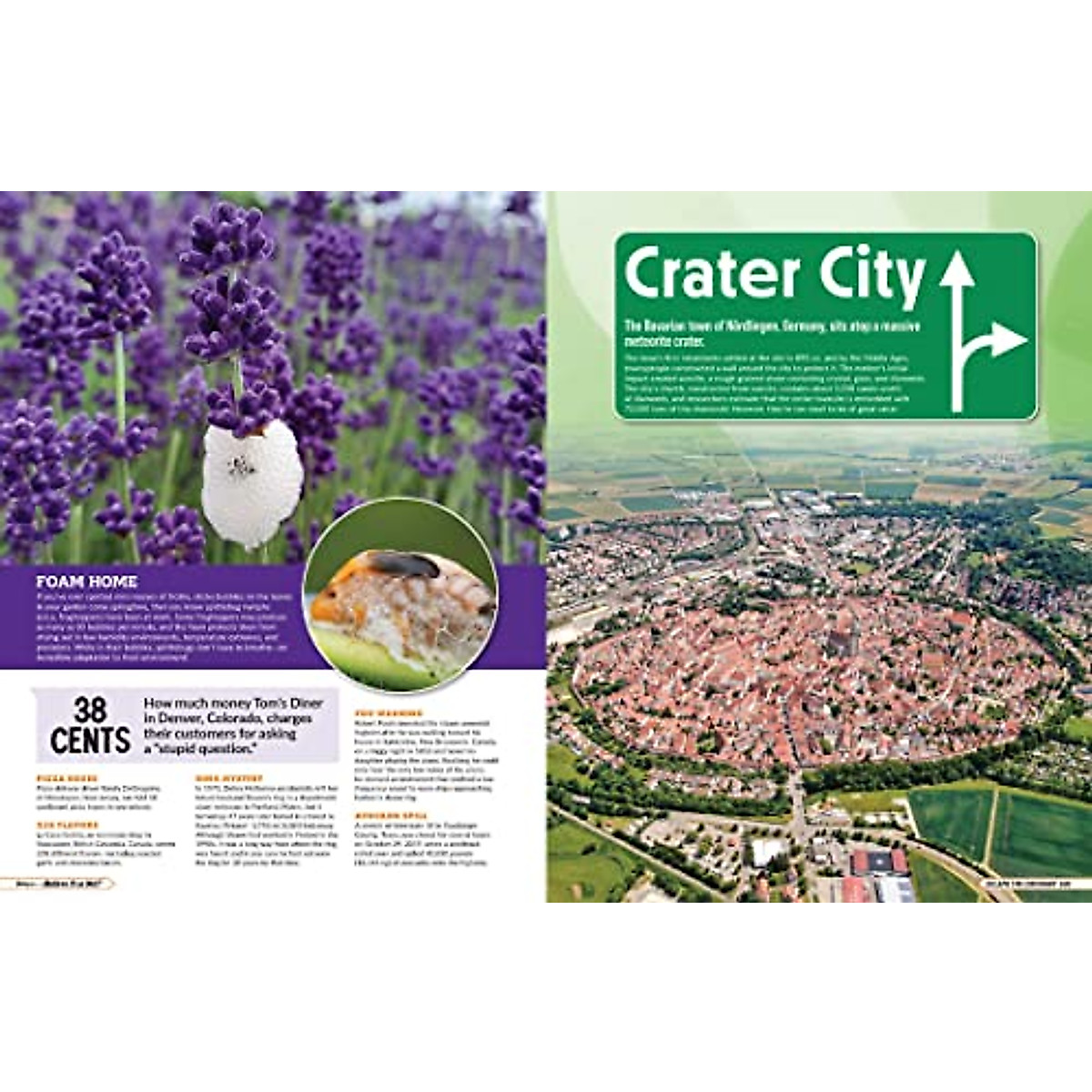 Ripley's Believe It Or Not! Escape the Ordinary (19) (ANNUAL)