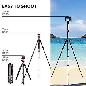 K&F Concept 67 inch Camera Tripod Horizontal Aluminum Tripods Portable Monopod with 360 Degree Ball Head Quick Release Plate for DSLR Cameras T255A4+BH-28L (TM2515T1)