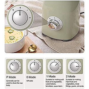 Water cup Electric juicer Multifunctional Blender Blender With Food Processor Spice Grinder And Ice Crusher 2 Speed U200BU200Bsettings And One Pulse Free 3 Titanium Alloy Ice/Nu ZJ666