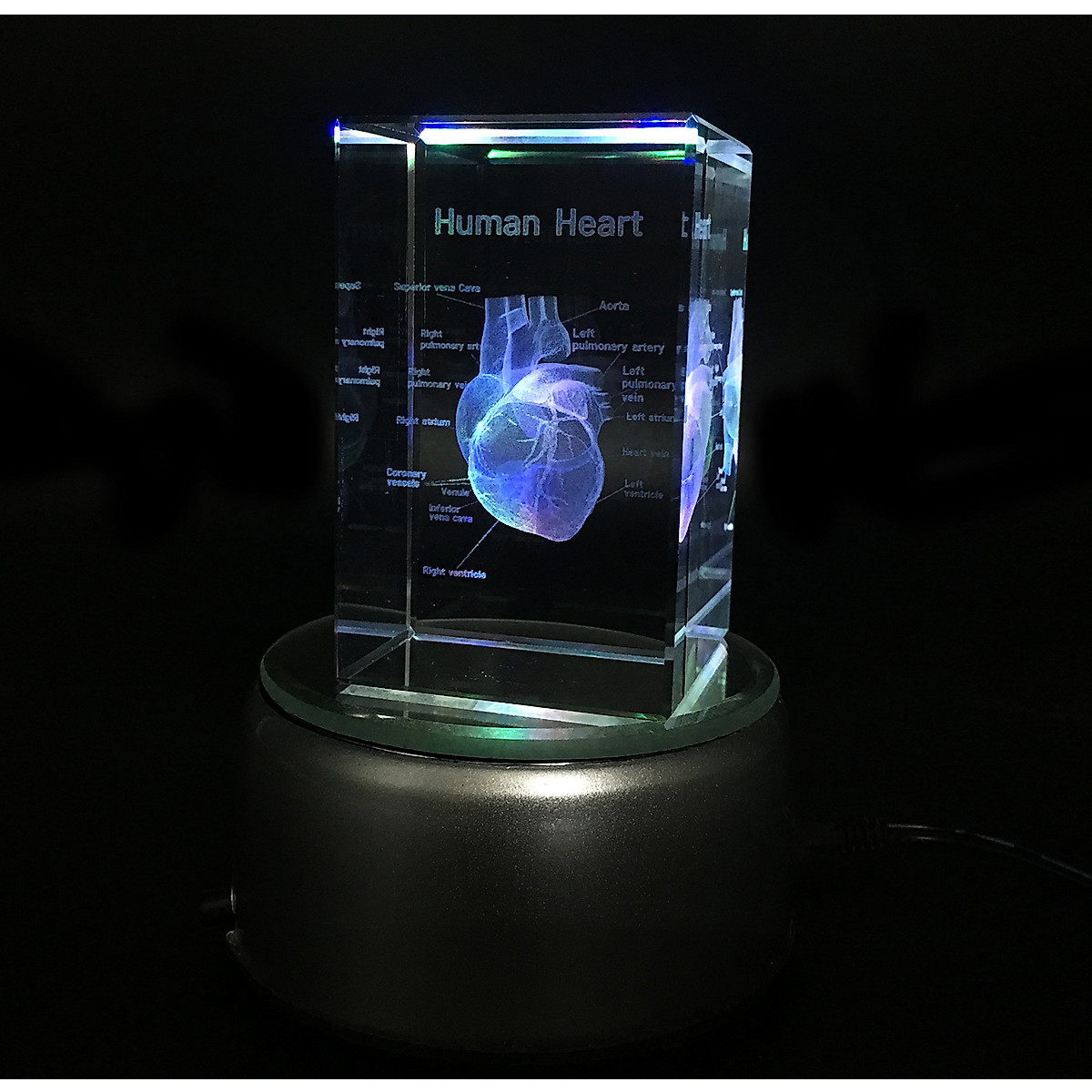 3D Human Heart Anatomical Model Paperweight(Laser Etched) in Crystal Glass Cube Science Gift (No Included LED Base)(3.1x2x2 inch)